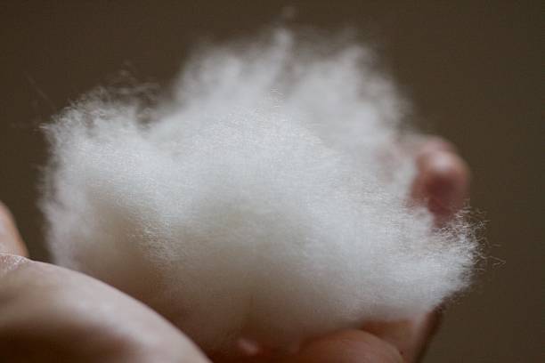 Authentic Cashmere - Vêtements 100% cachemire haut de gamme